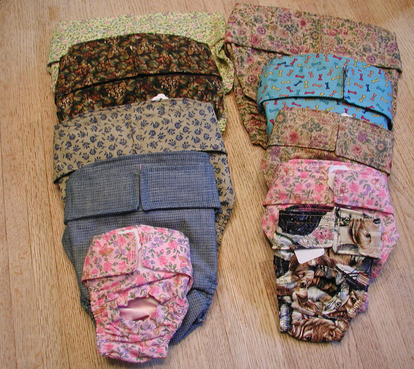 Bitches Britches for Girls